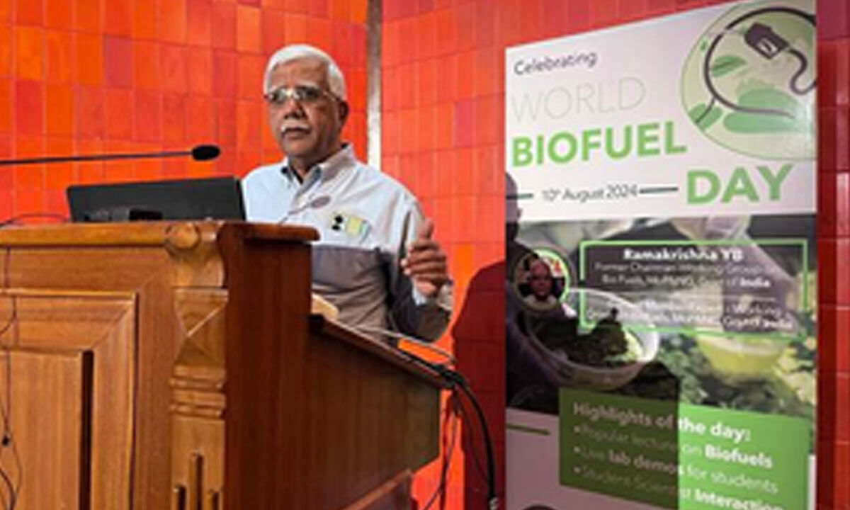 Biofuel sector has immense potential, may pave way for a sustainable ...
