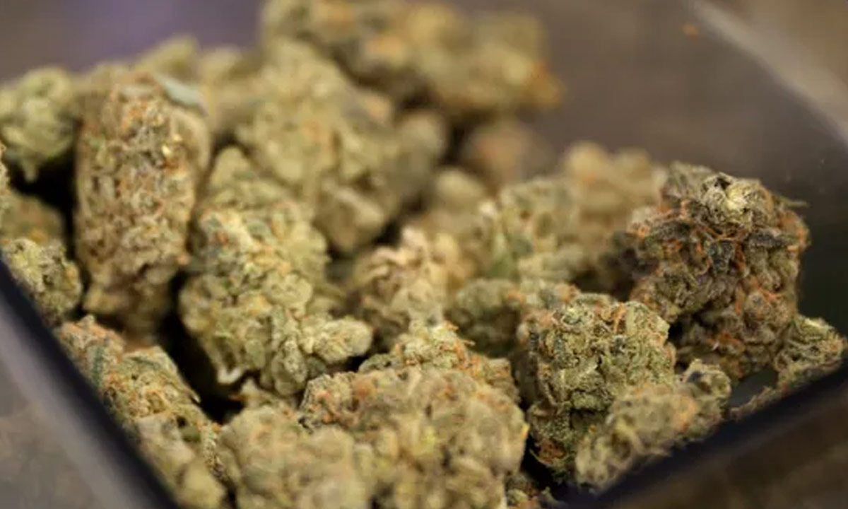 83.4 Kilograms of Marijuana Seized in Sangareddy