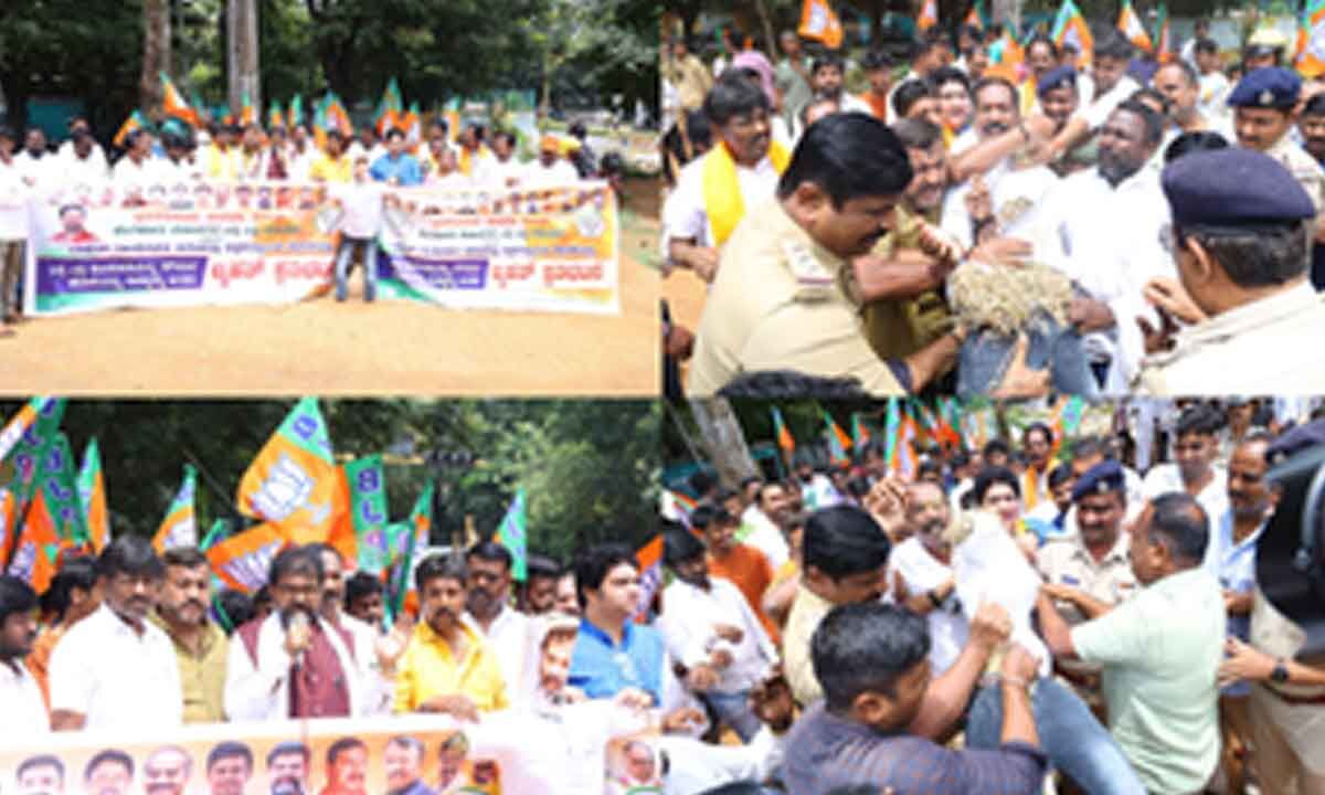 K’taka BJP protests condemn Rahul Gandhi's statement on revoking ...