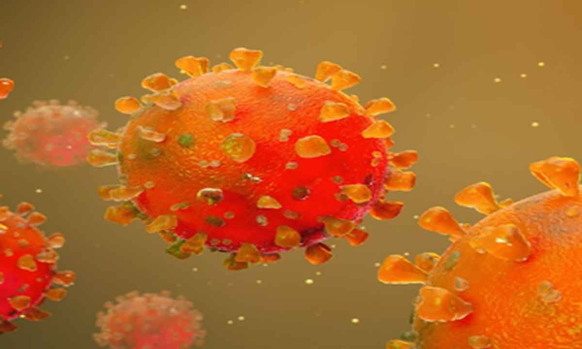 Know all about new XEC Covid variant identified in 15 countries