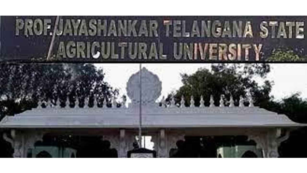 PJTSAU begins counseling for UG admissions in agriculture, veterinary ...