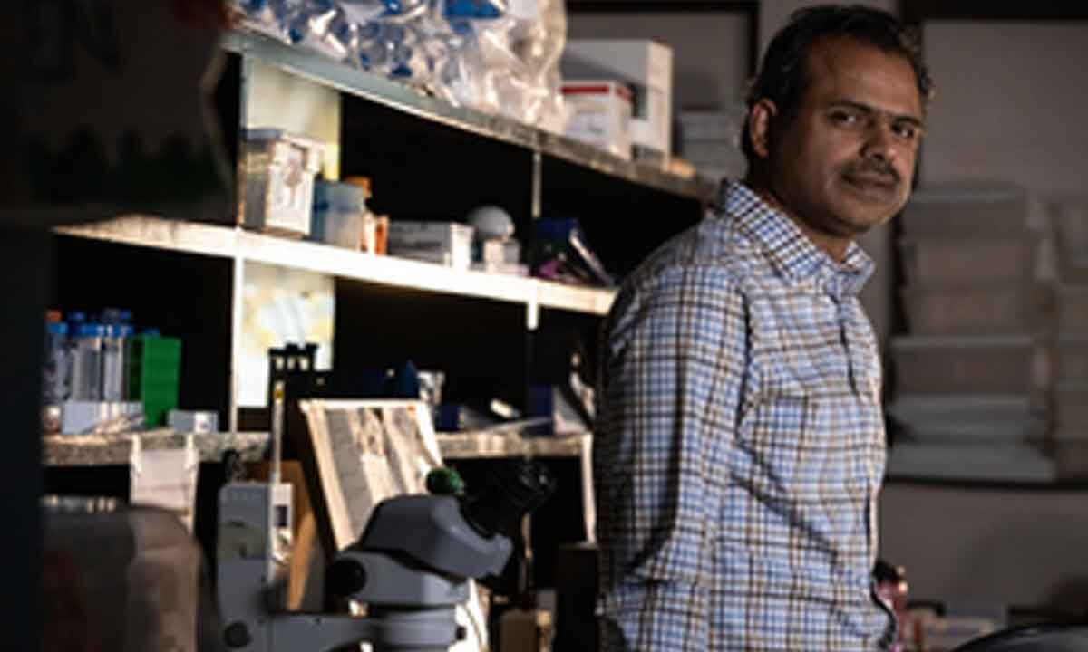 Indian-origin scientist discovers protein function that may treat age ...