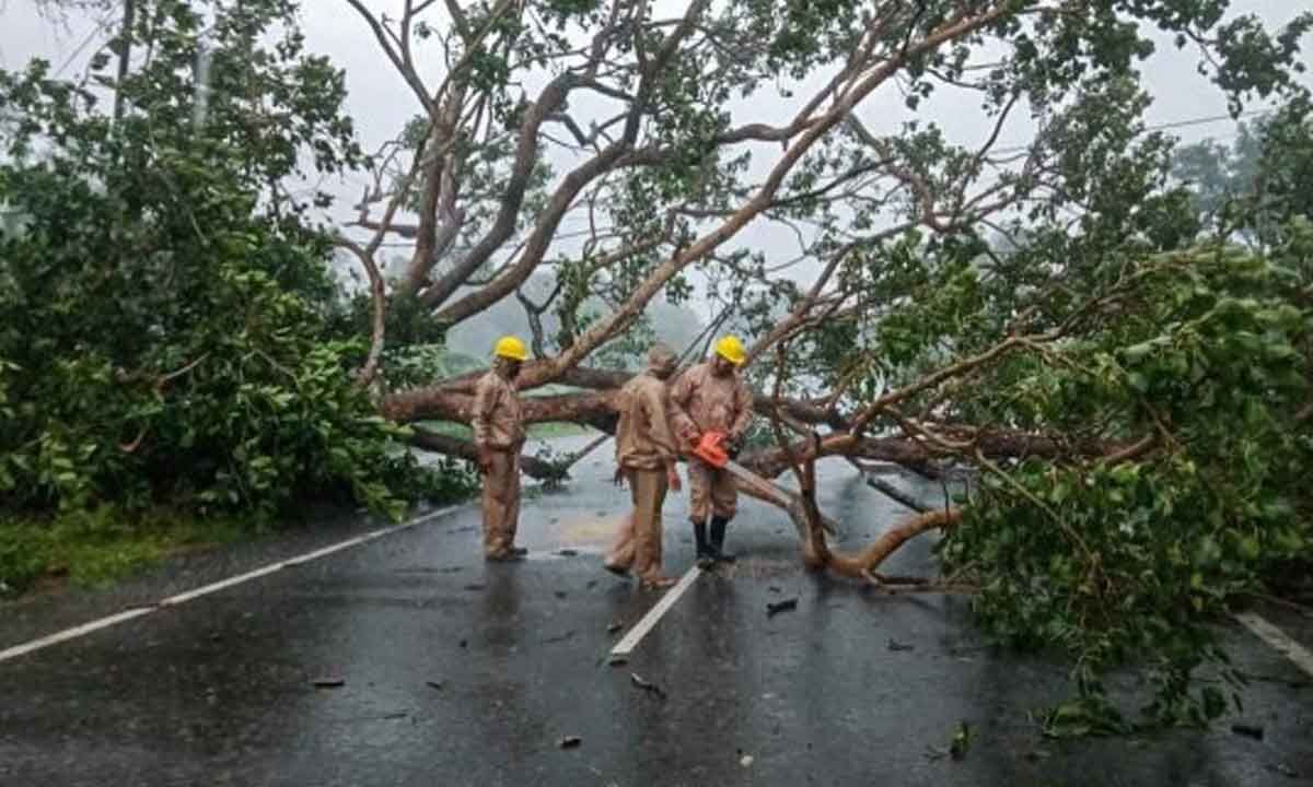 Odisha Begins Restoration And Relief Efforts Following Cyclone Dana's ...