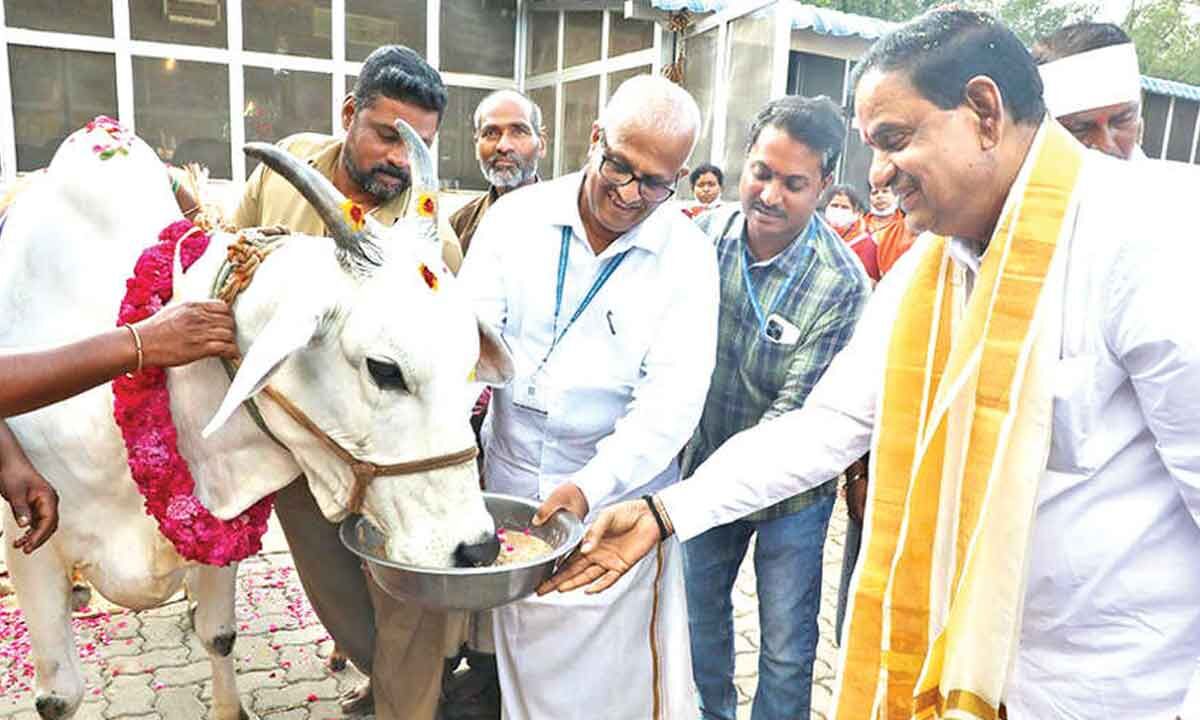 TTD chairman visits Dharmagiri, Gosala