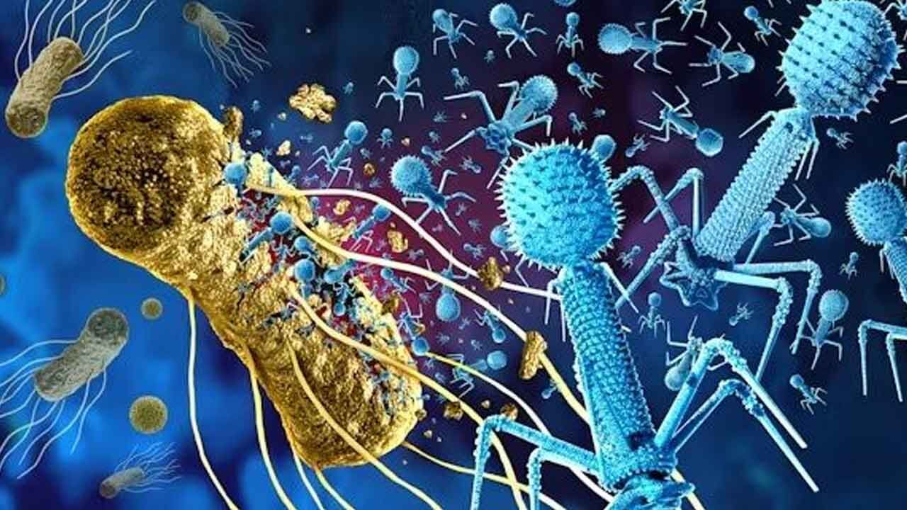 Beware of bacterial predators