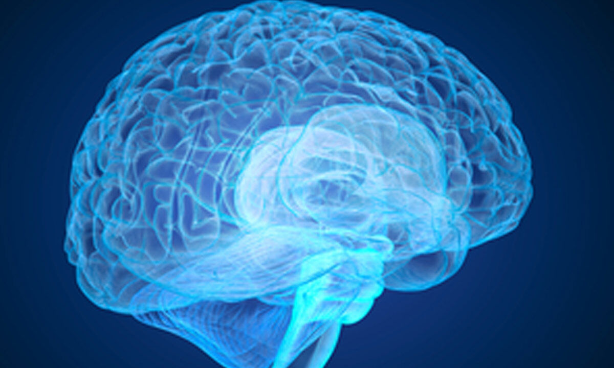 Scientists decode brain activity that can help treat anxiety and depression