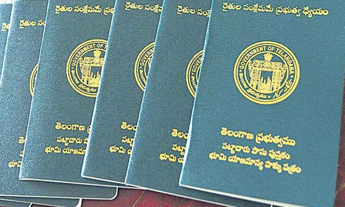 Dharani proves a bane for 25K families across State