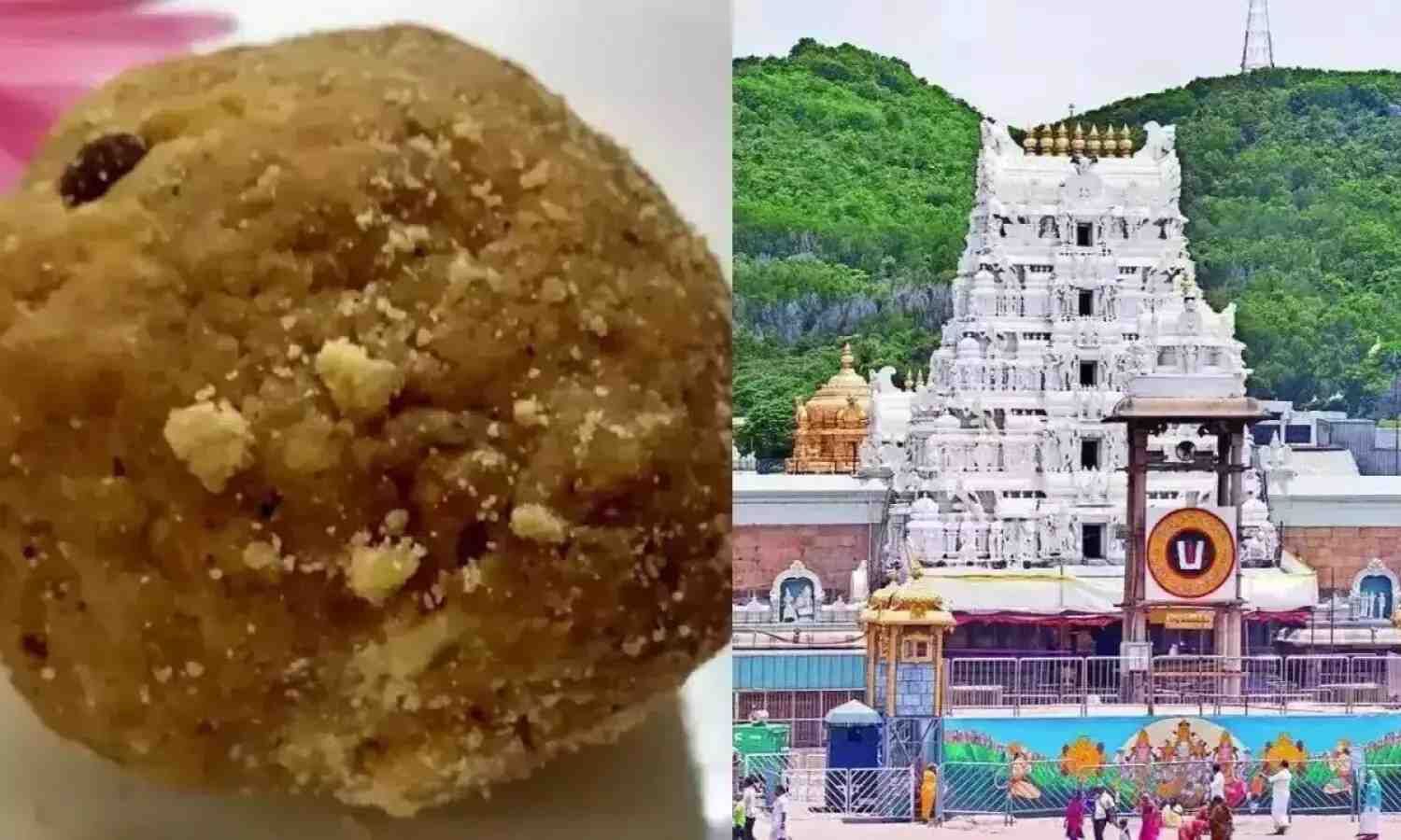 SIT and CBI Investigate Adulterated Ghee in Srivari Laddu Prasadam