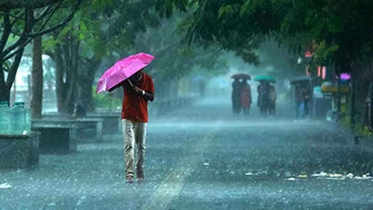 TN heavy rain: Holiday for educational institutions in several districts