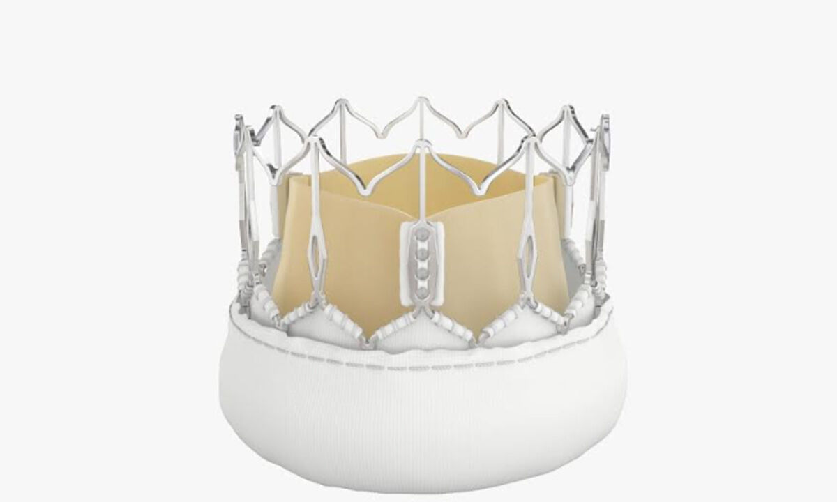 India shines at London valves 2024: Meril's groundbreaking leap in ...