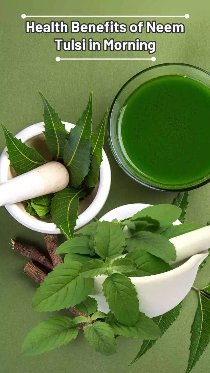 Health Benefits of Neem-Tulsi in Morning