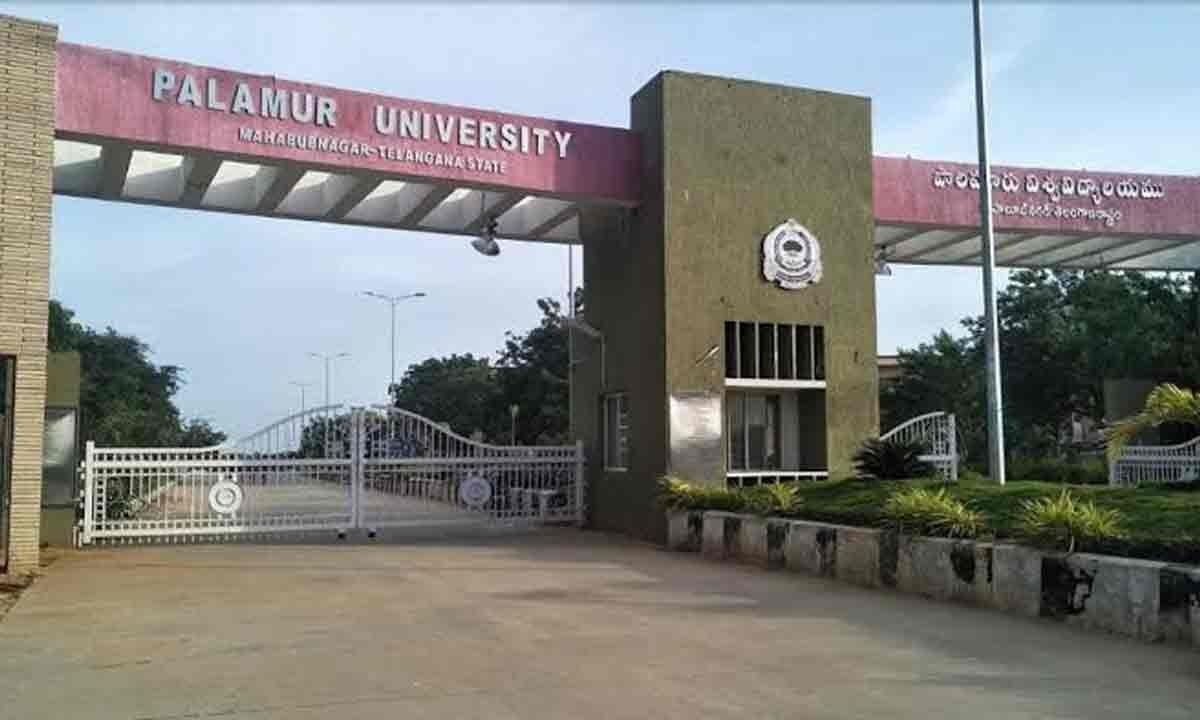 Negligence by Palamuru University Sparks Outrage Among Students and Faculty