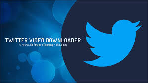 Top 10 Online Twitter Video Downloaders [2025 Rankings]