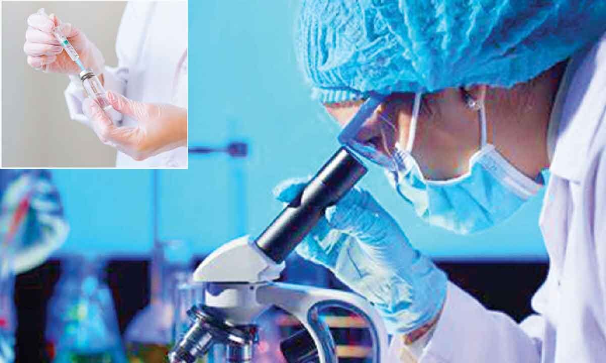 IIT Bombay researchers develop needle-free shock syringes for painless ...