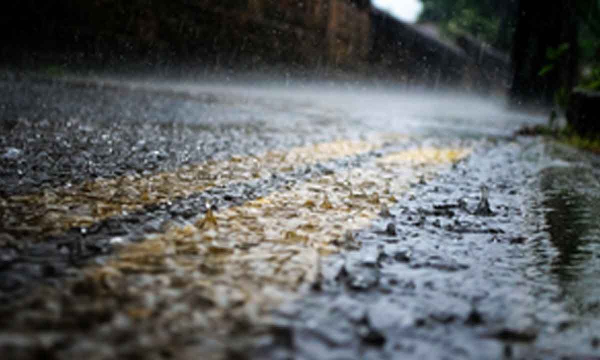 Heavy rain in TN's Tenkasi, restrictions imposed at Courtallam waterfalls