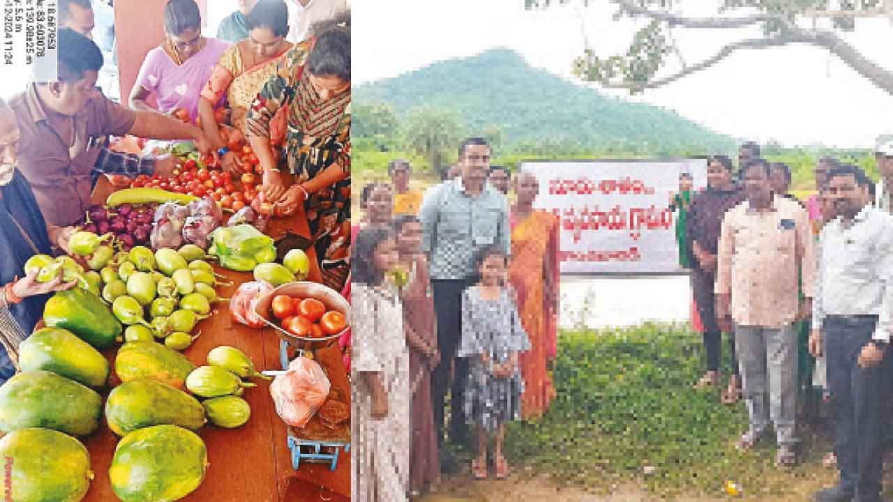 North Andhra farmers reap big with organic farming
