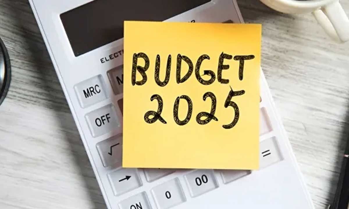 Budget Highlights 2025