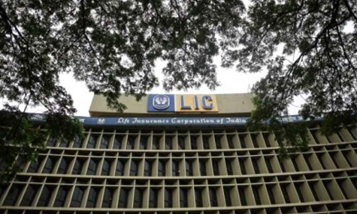 LIC reports over 16 pc jump in consolidated net profit in Q3, AUM up 10 ...