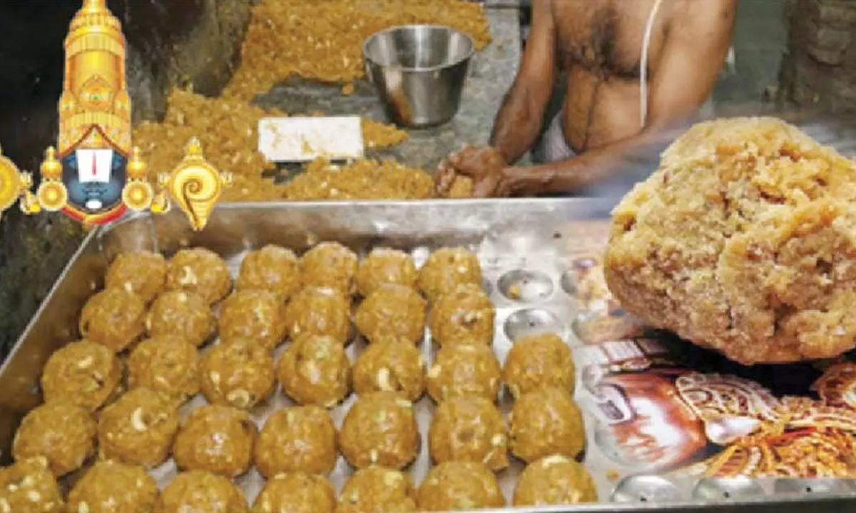 SIT grills laddu ghee case accused as it shifts focus to masterminds
