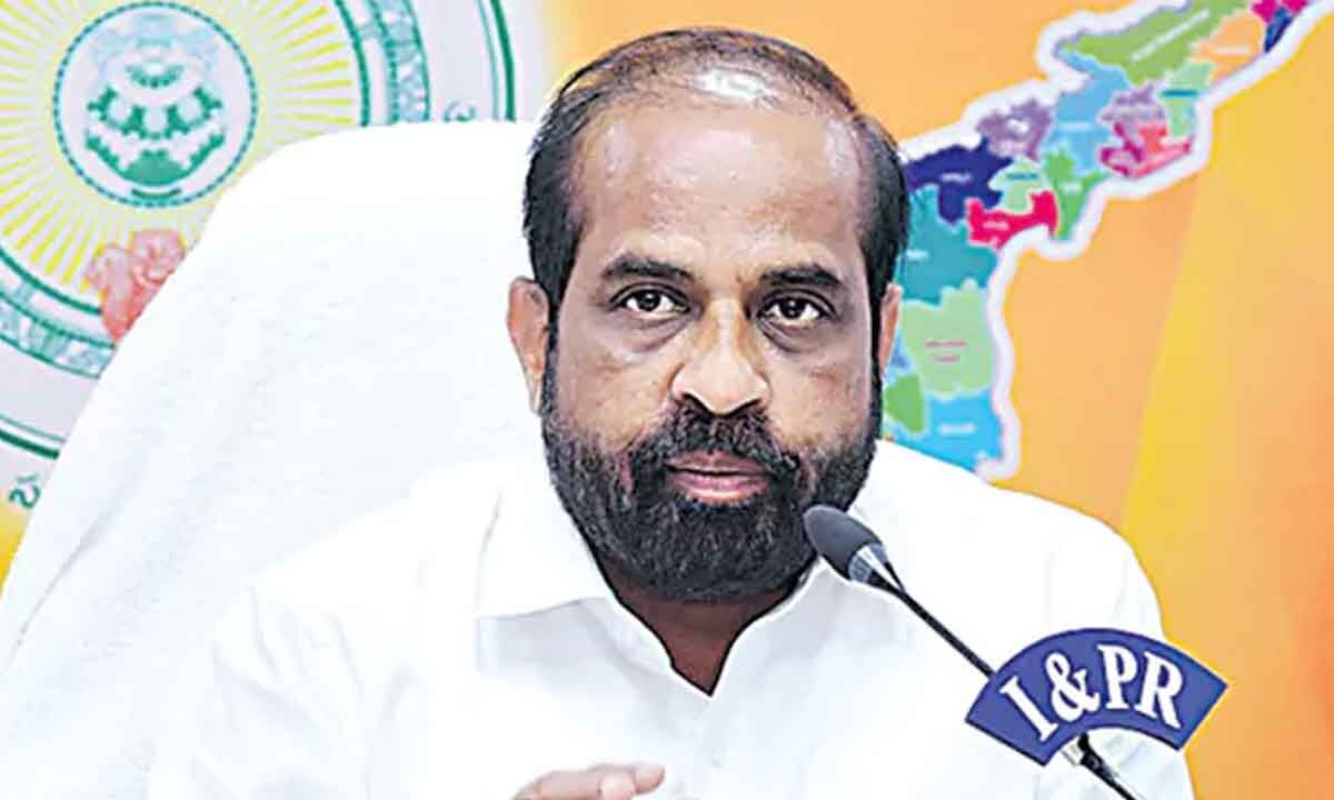 AP Health Minister Addresses GBS concerns, says govt is monitoring