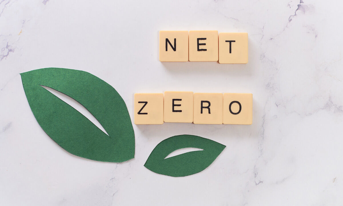 Oxford Smith School and CEEW launches course on ‘Reaching Net Zero’ for ...