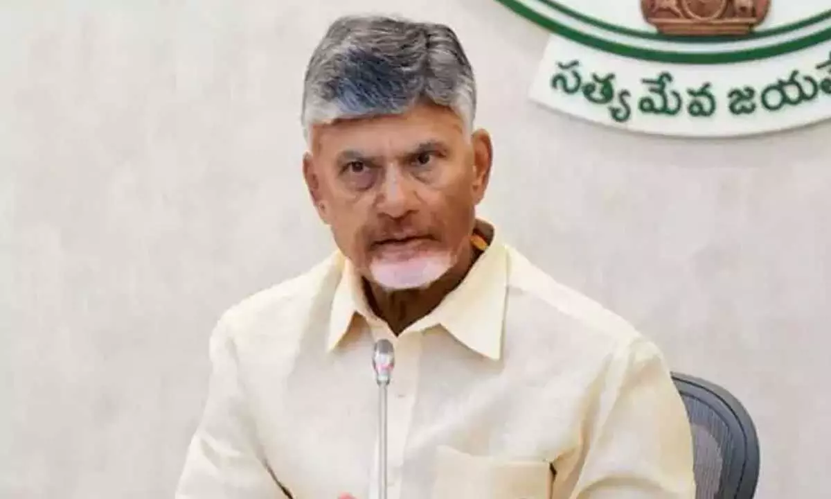 Chandrababu urges TDP cadre to unite and work hard for party