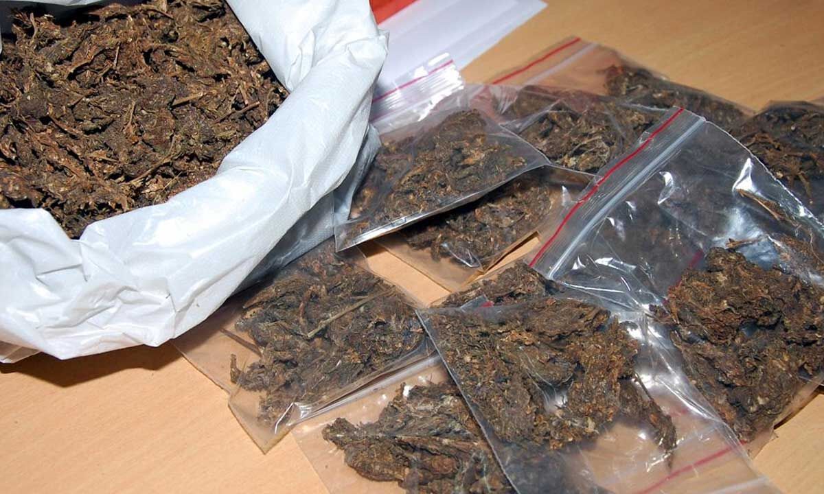 Ganja peddler nabbed, 78 kg ganja seized
