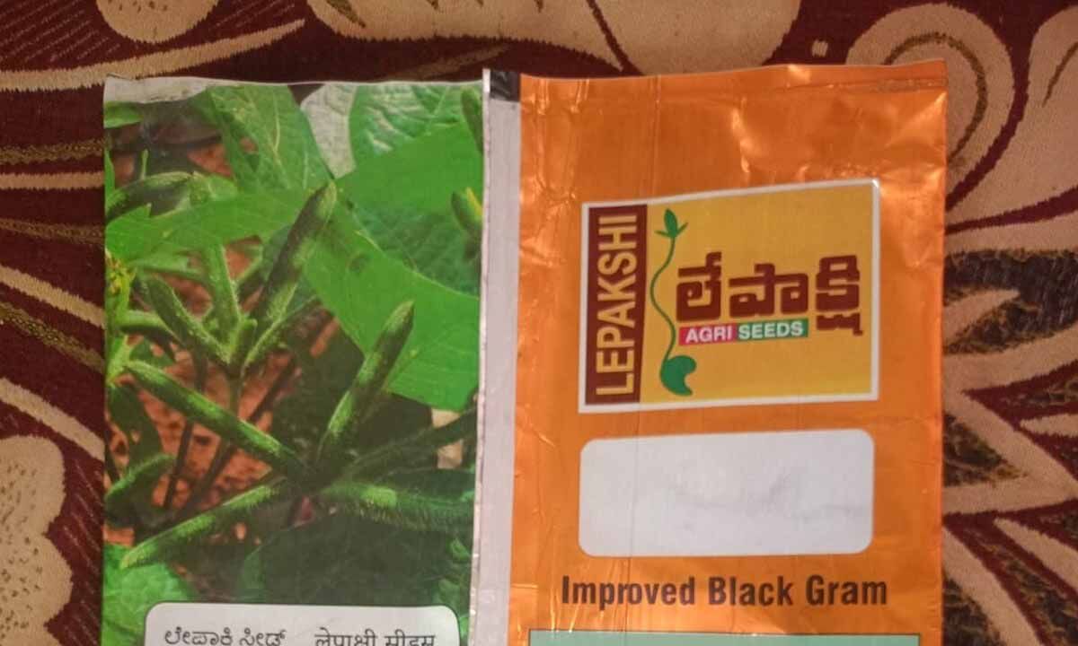 Fake seeds leave farmers in distress