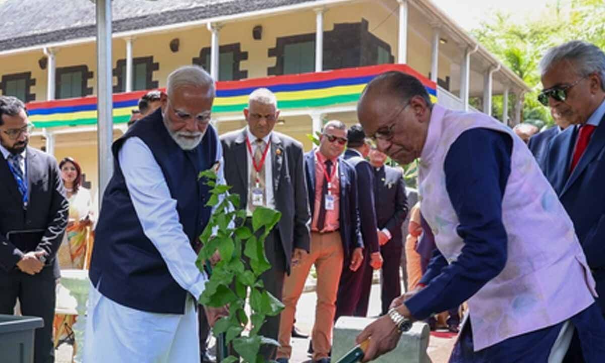 PM Modi expands 'Ek Ped Maa Ke Naam' initiative globally with tree ...