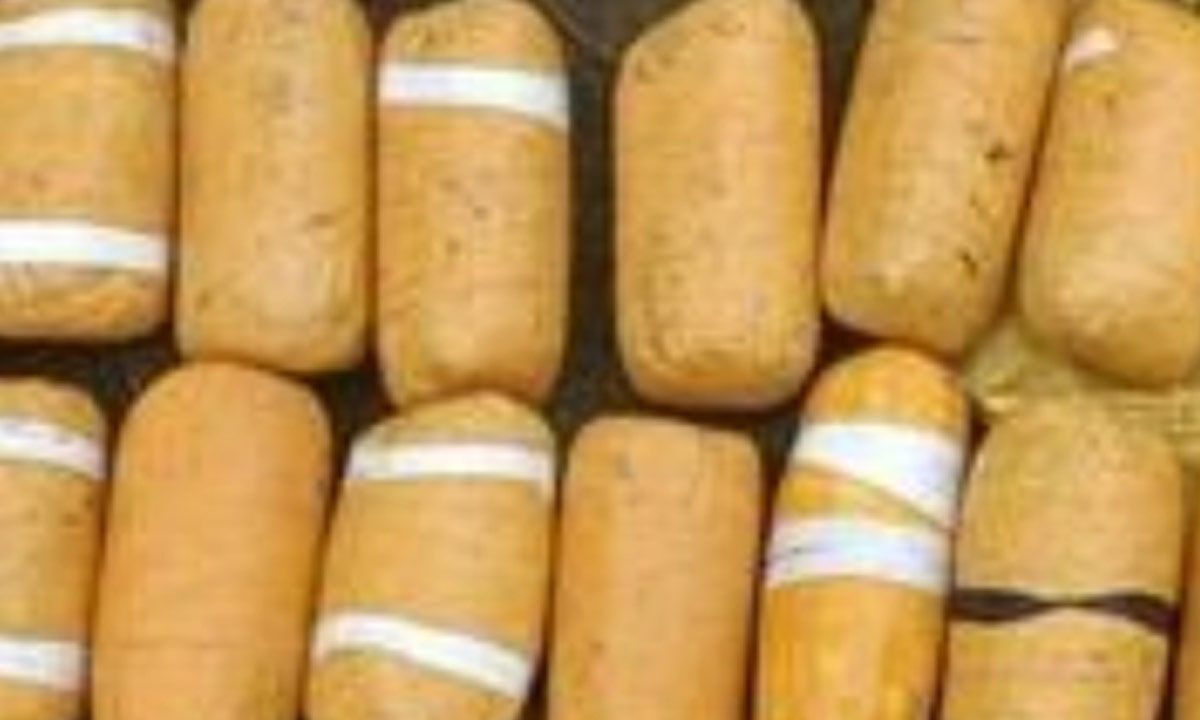 BSF recovers drug packet dropped by Pak drone near border in Rajasthan