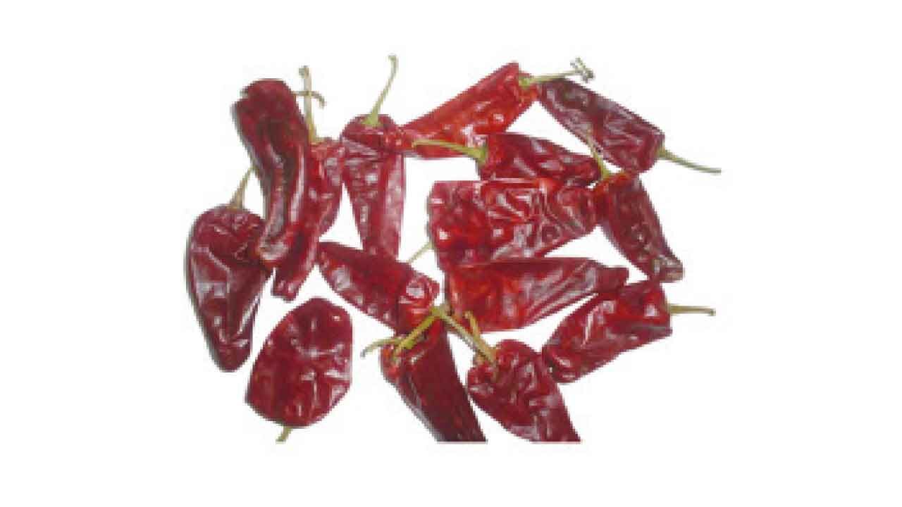 Warangal’s Chapata chilli gets GI tag