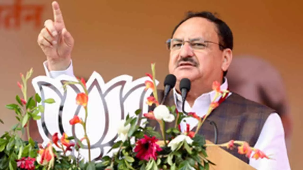 BJP Distances Itself From MPs' Controversial Remarks Against Supreme Court