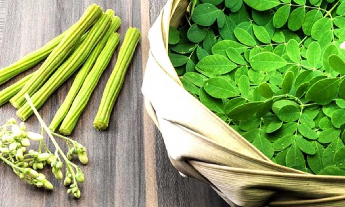 Amazing Summer Benefits of Moringa (Drumsticks)