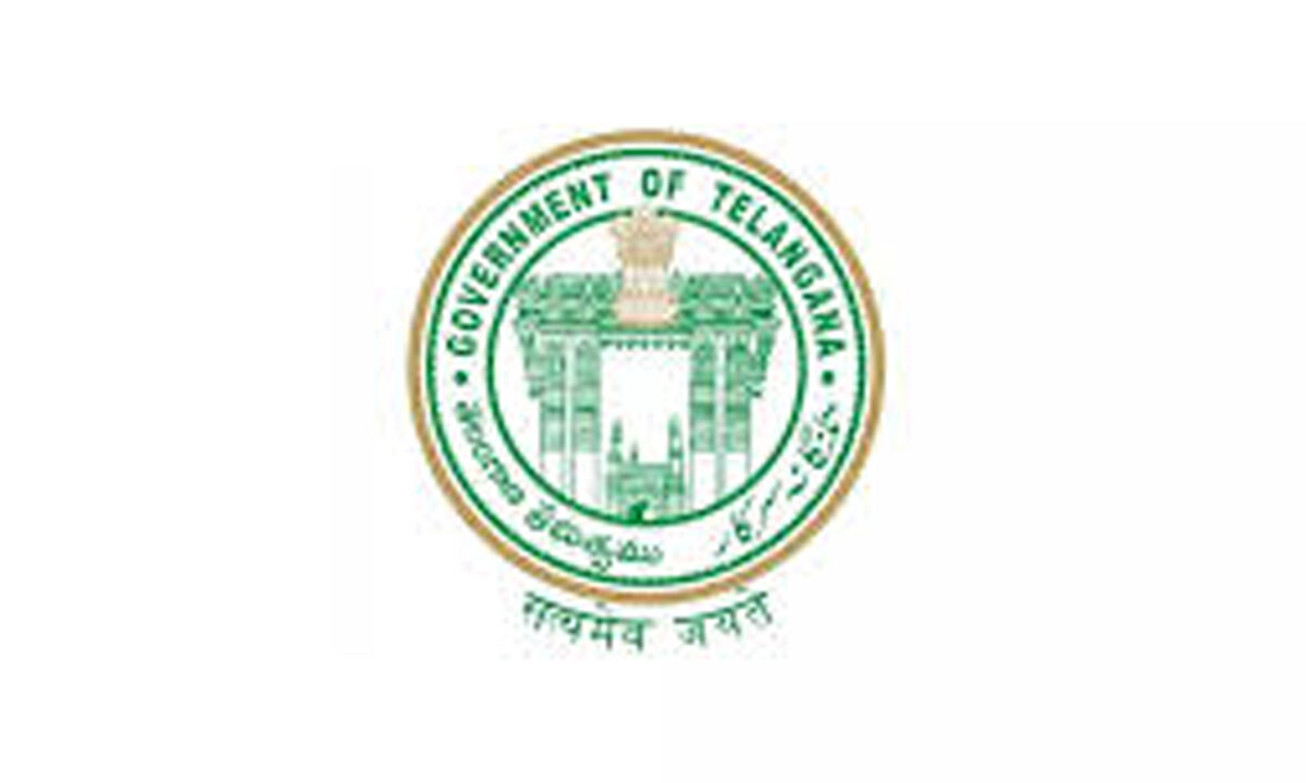 TG govt to take a decision on NDSA final report soon