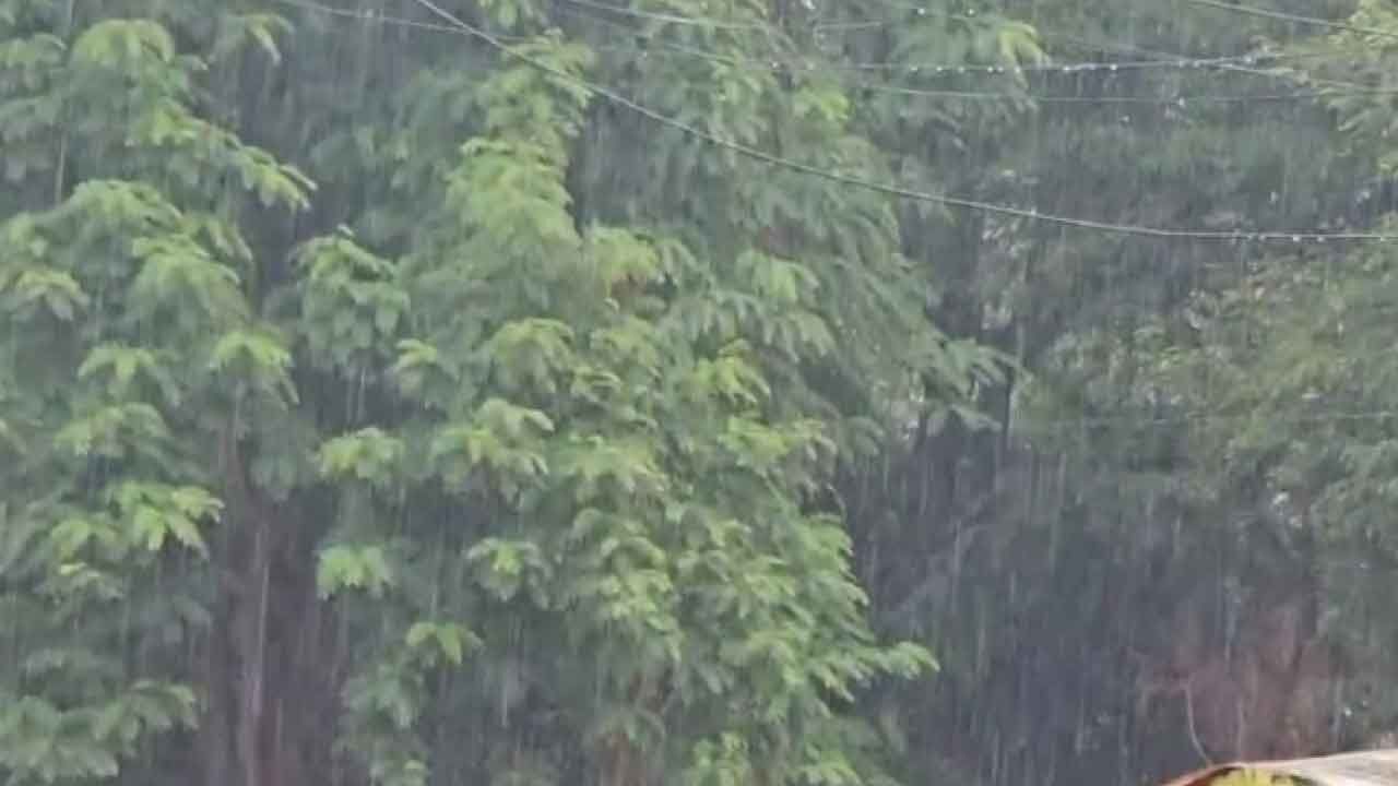Heavy rain lashes Guntur and Nellore districts in Andhra Pradesh