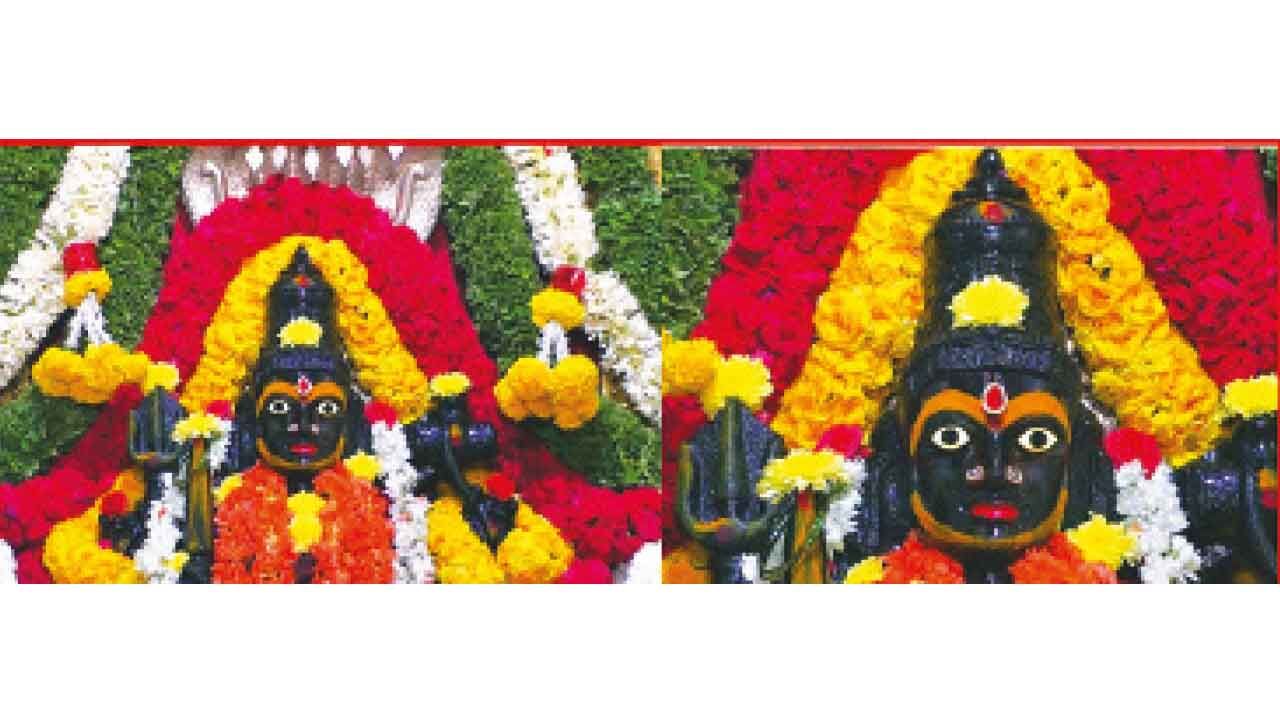 PETA India complaint: Authorities foil animal sacrifice bids at two temples