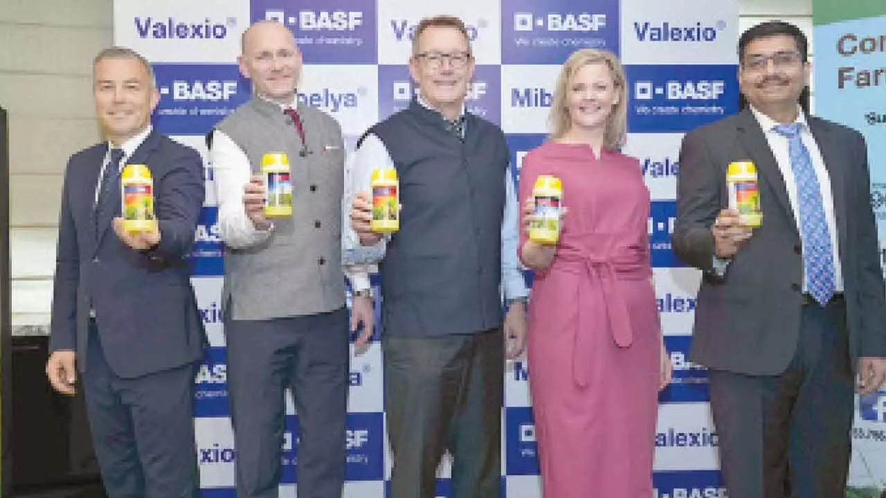 BASF launches breakthrough crop protection for paddy farmers