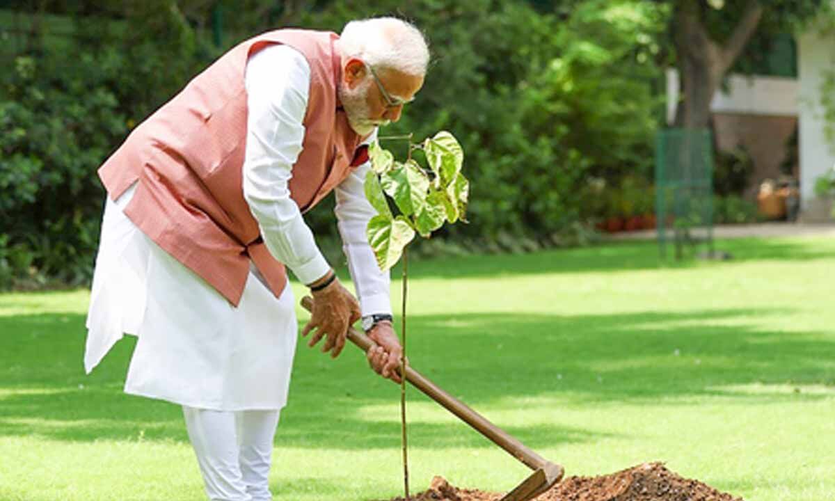 PM Modi launches ‘Aravali Green Wall’ project by planting sapling under ...