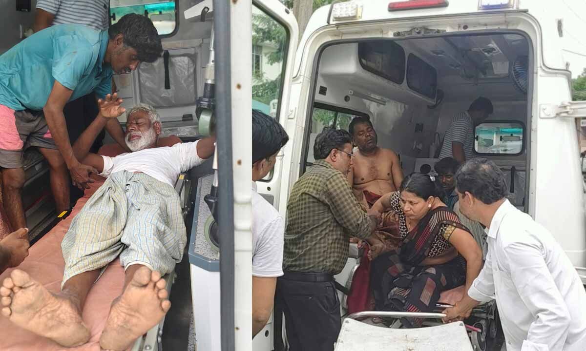 Eight farmers injured in fierce bee attack