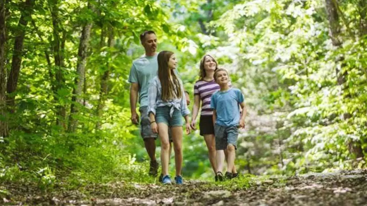 World Sauntering Day: The power of a slow walk - Rediscovering joy with ...