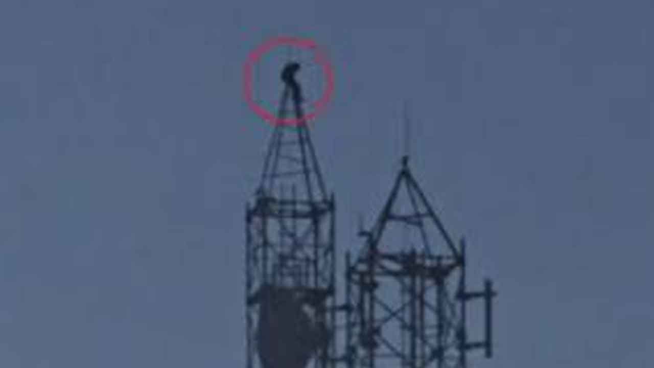 Lovesick man climbs atop telecom tower