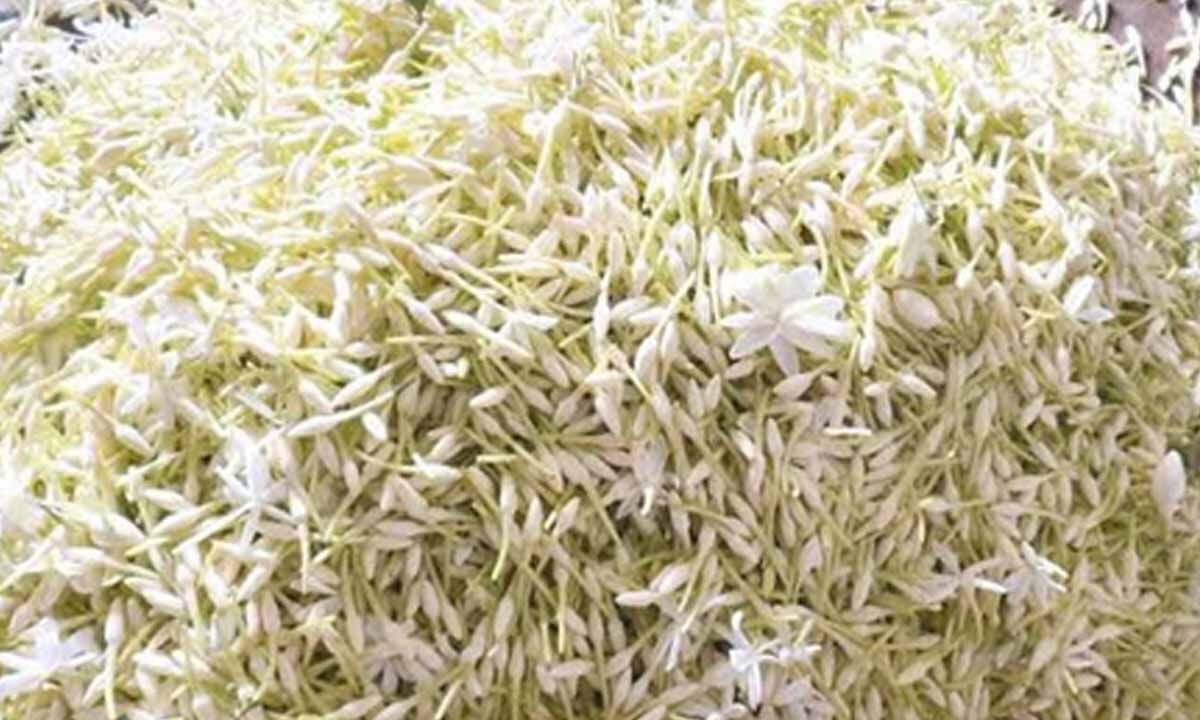Tamil Nadu moves to secure GI tags for five indigenous farm products