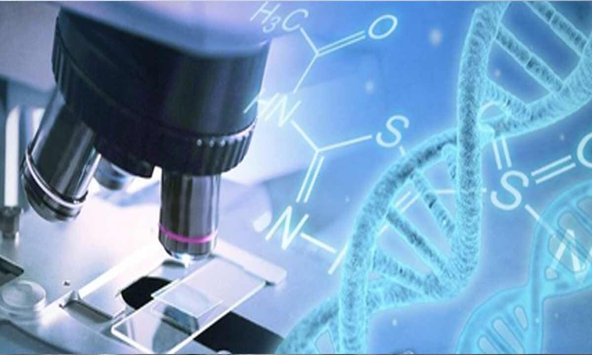 Australian scientists discover proteins that could help fight cancer ...