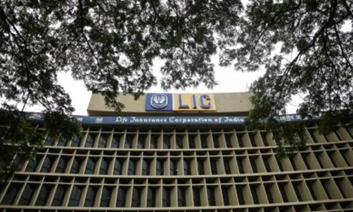 LIC shares make strong comeback, jump over 34 pc in last 4 months