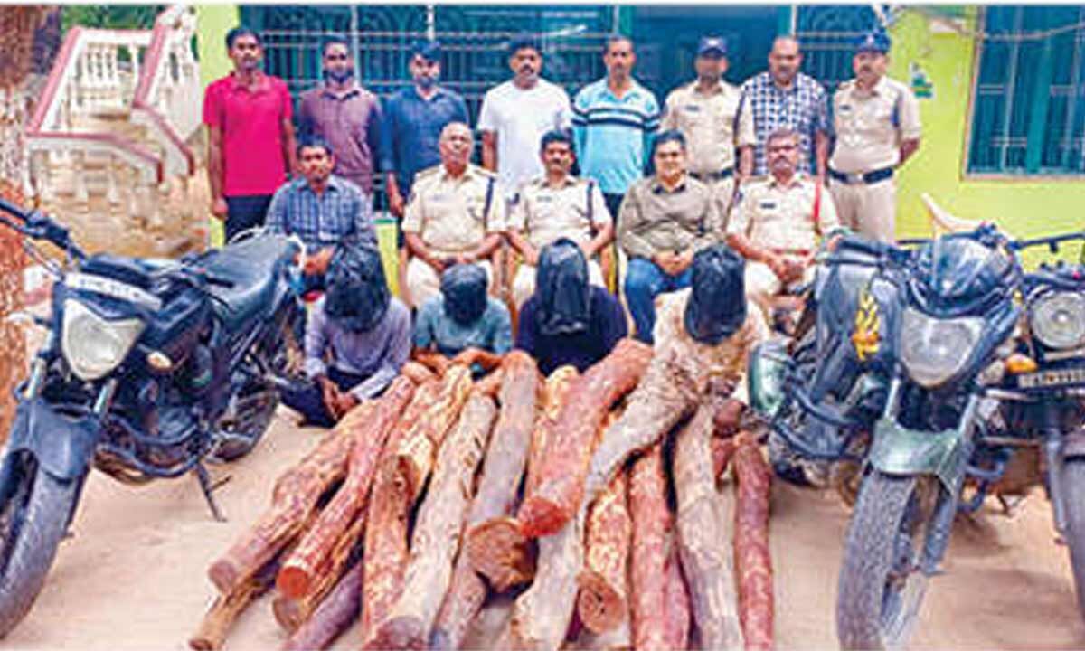22 red sanders logs seized, four arrested