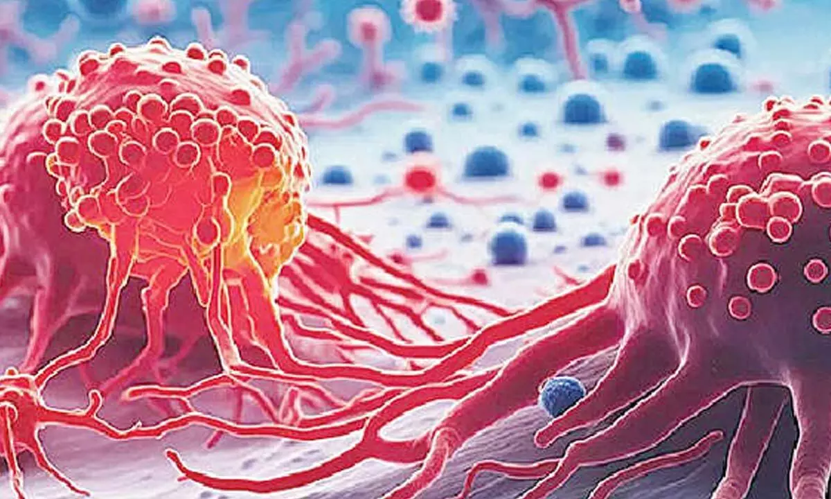 Treatable weakness in blood vessels can impact cancer survivors ...