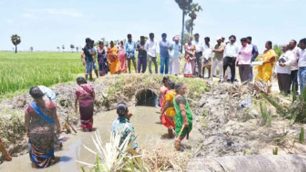 Derive benefit from MNREGS, farm labour told