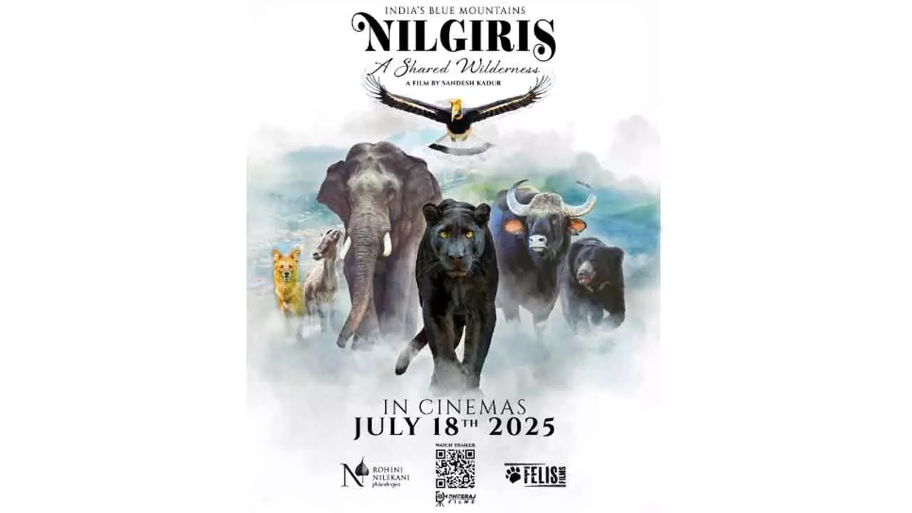 ‘Nilgiris: A Shared Wilderness’ to hit theatres nationwide on Friday