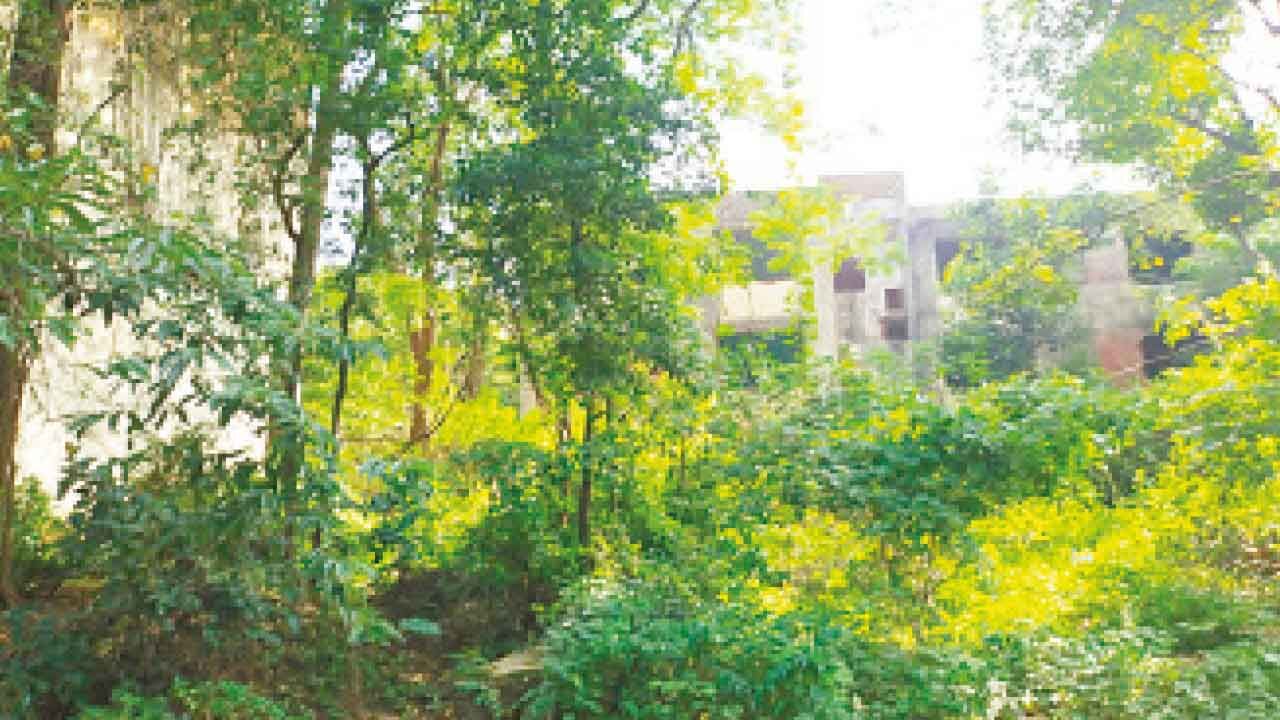 Khandre lauded by Surjewala for preserving HMT forest land