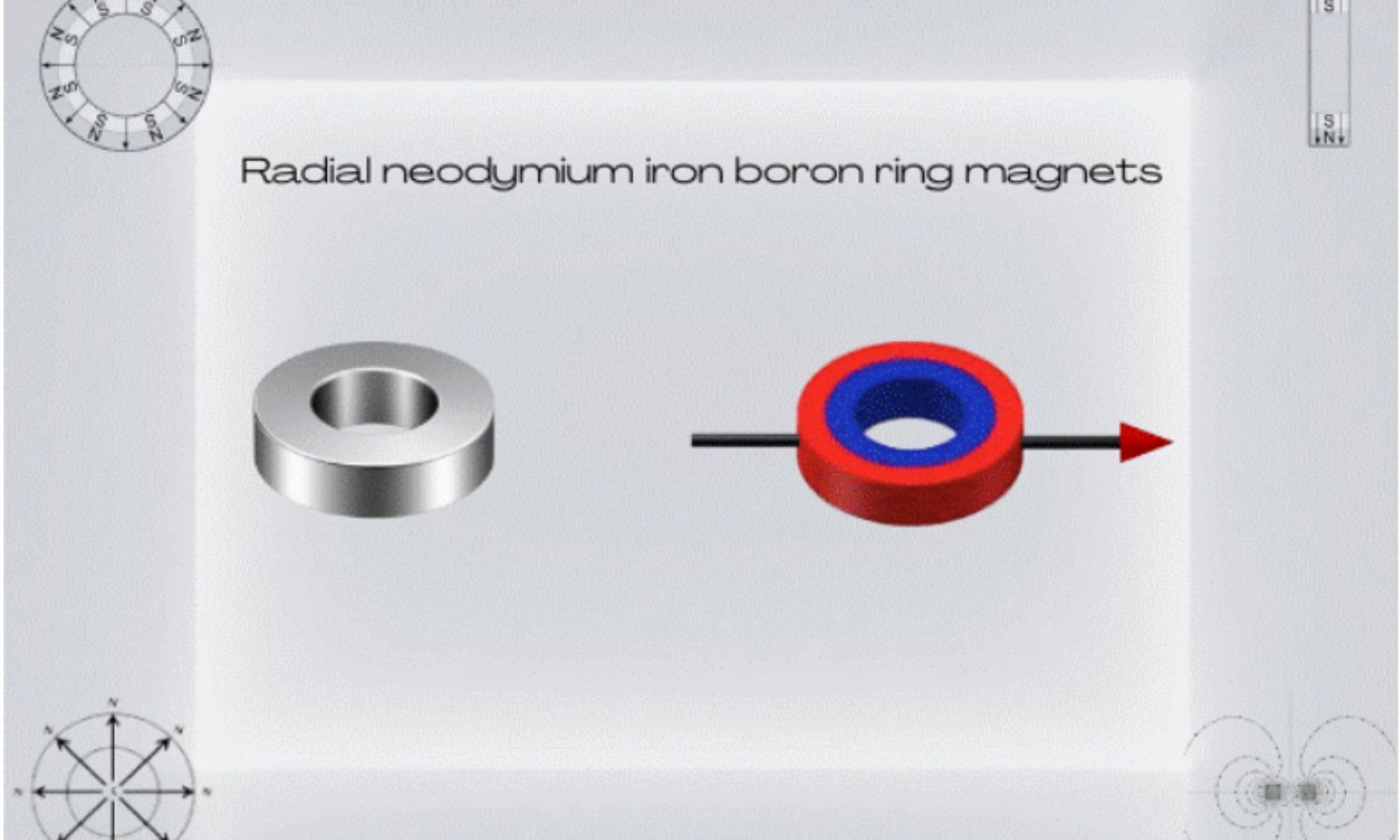 Are there any true radial ring magnets?